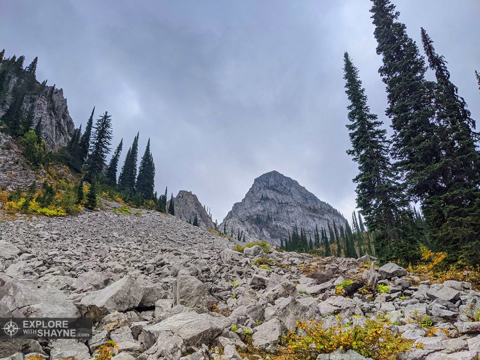 We Hiked up a Mountain and Discovered 145 Million Year Old Fossils ...