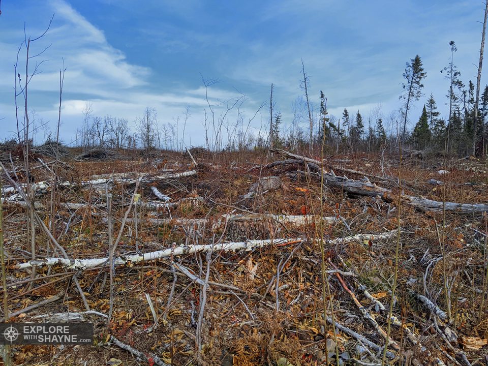 Hunt Lake Trail’s Forgotten Loop – Explore with Shayne