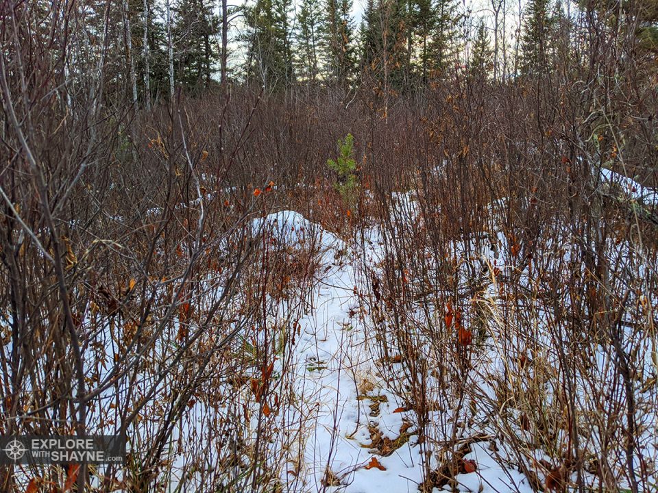 Hunt Lake Trail’s Forgotten Loop – Explore with Shayne