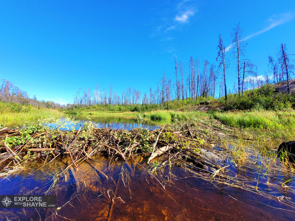 5 days and 120km Canoeing Through Atikaki Provincial Wilderness ...
