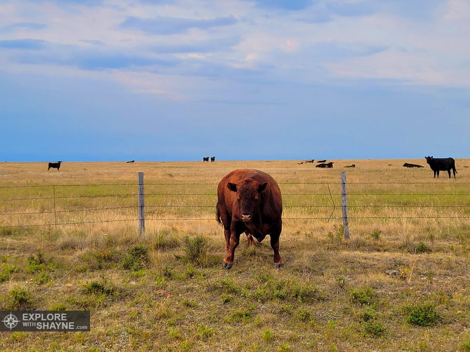 The Highest Point in Saskatchewan: A Farmer’s Field – Explore with Shayne